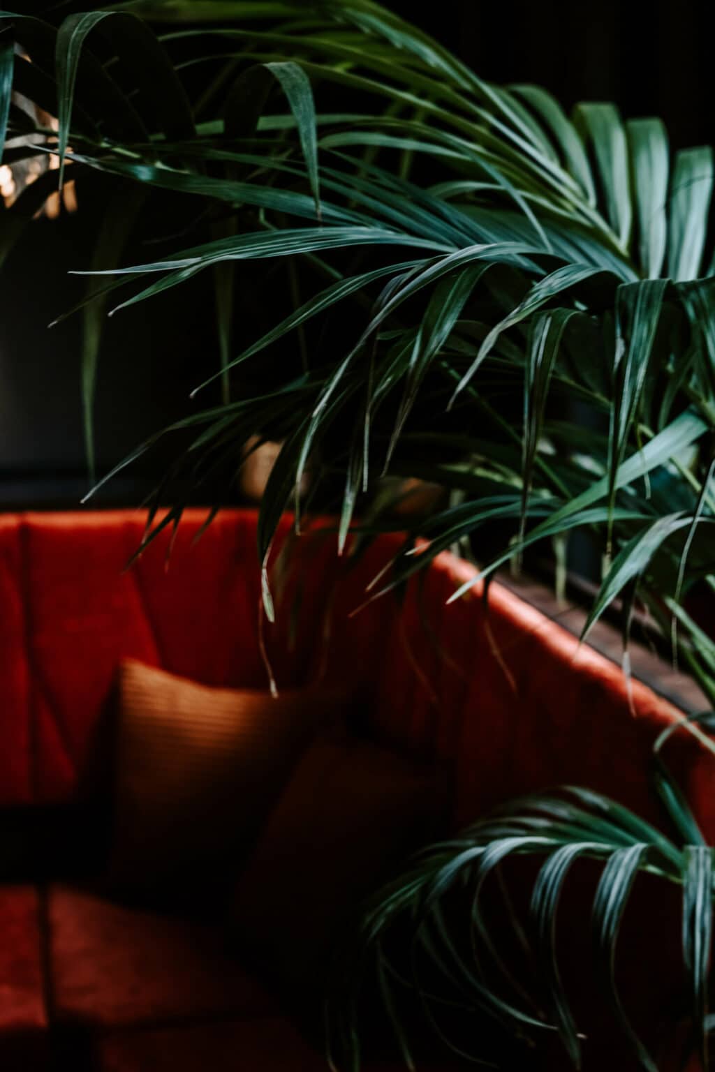 Vagabond Club Townhouses | Vagabond Club Official Site